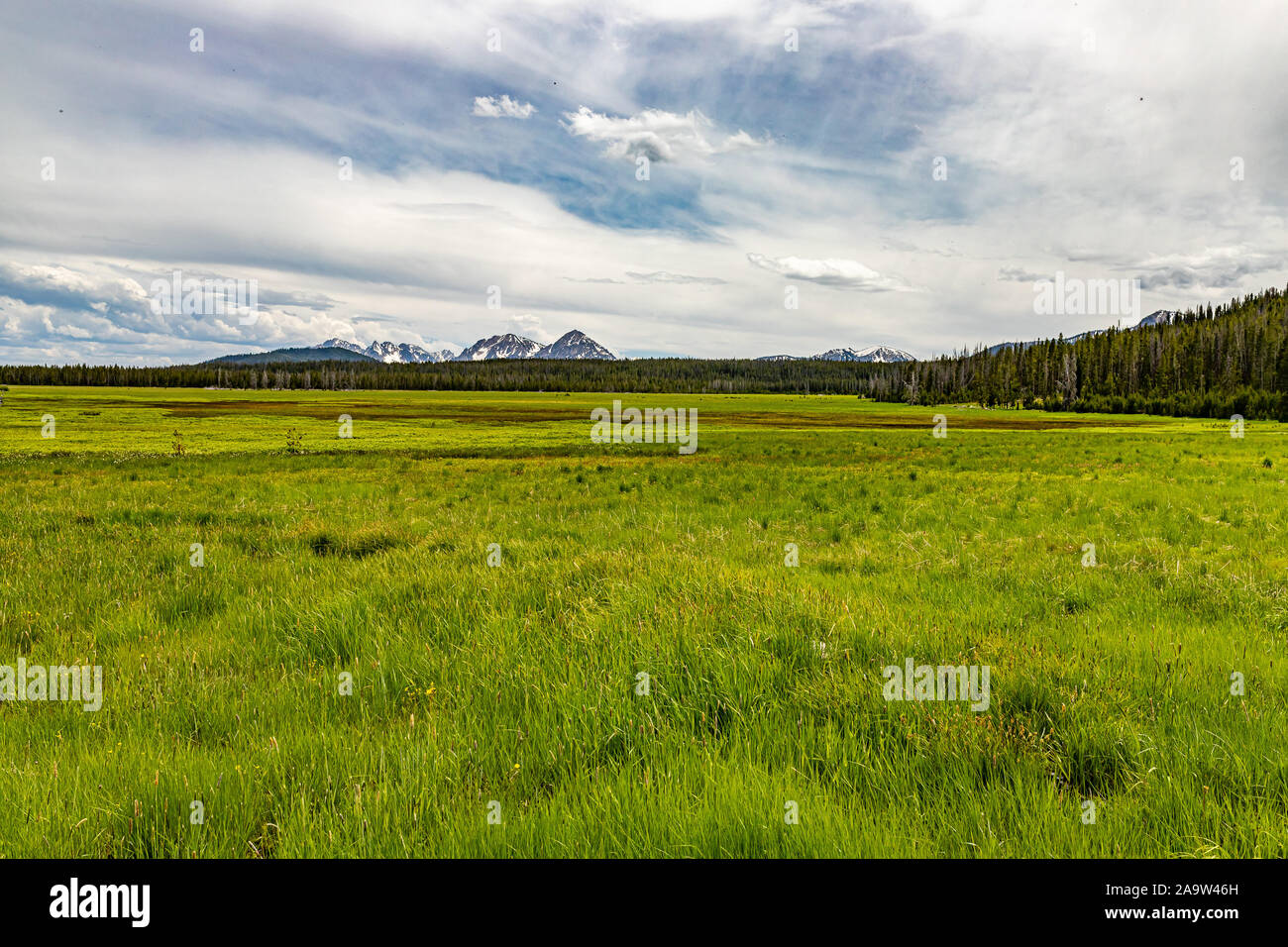 The Sawtooth National Forest covers two million acres in southern Idaho ...