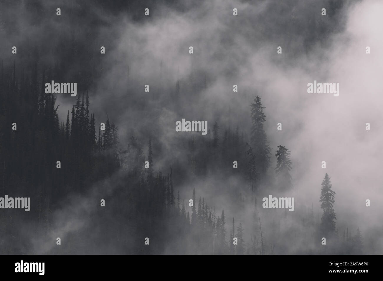 Storm clouds and mist moving around volcanic landscape of the North ...