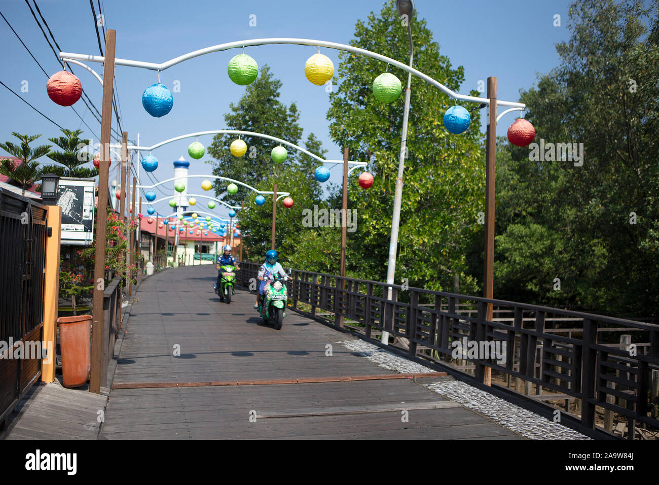 Koala bridge hi-res stock photography and images - Alamy