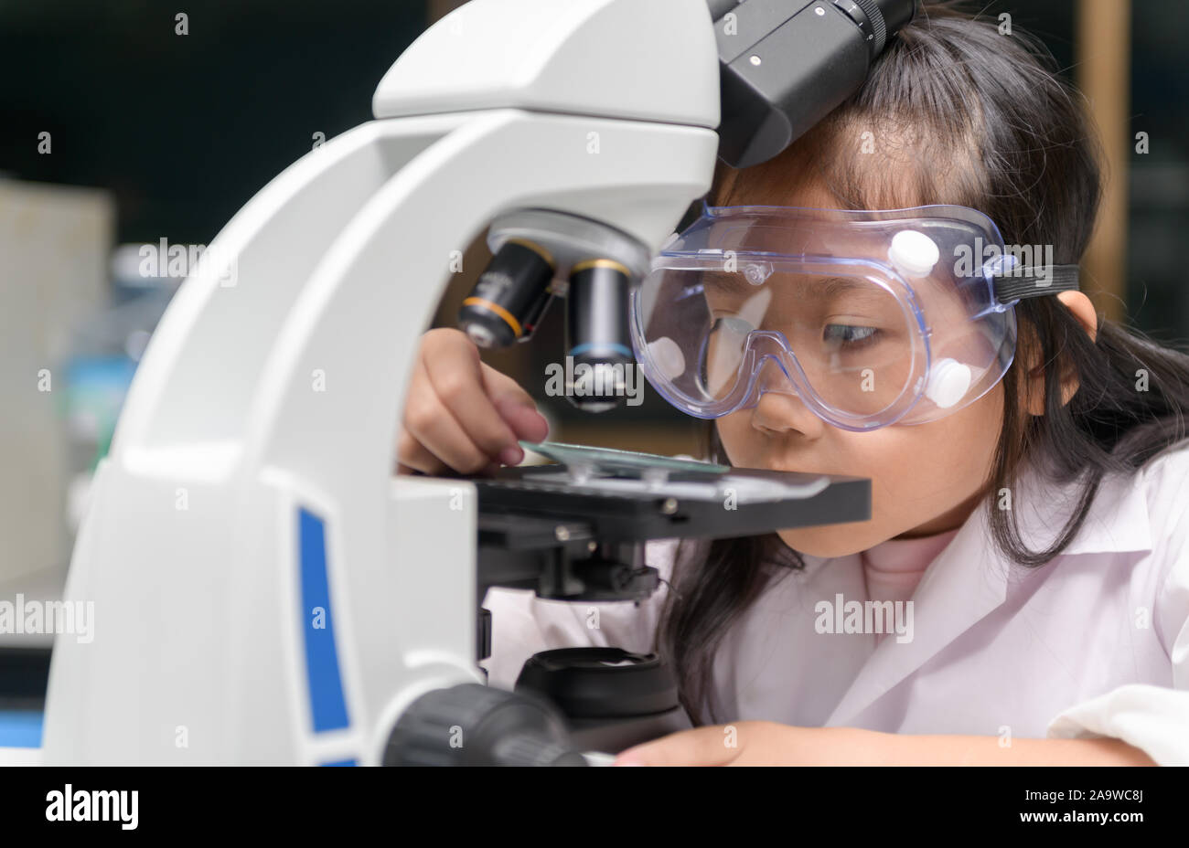 Little Scientist is working about science experiments and using ...