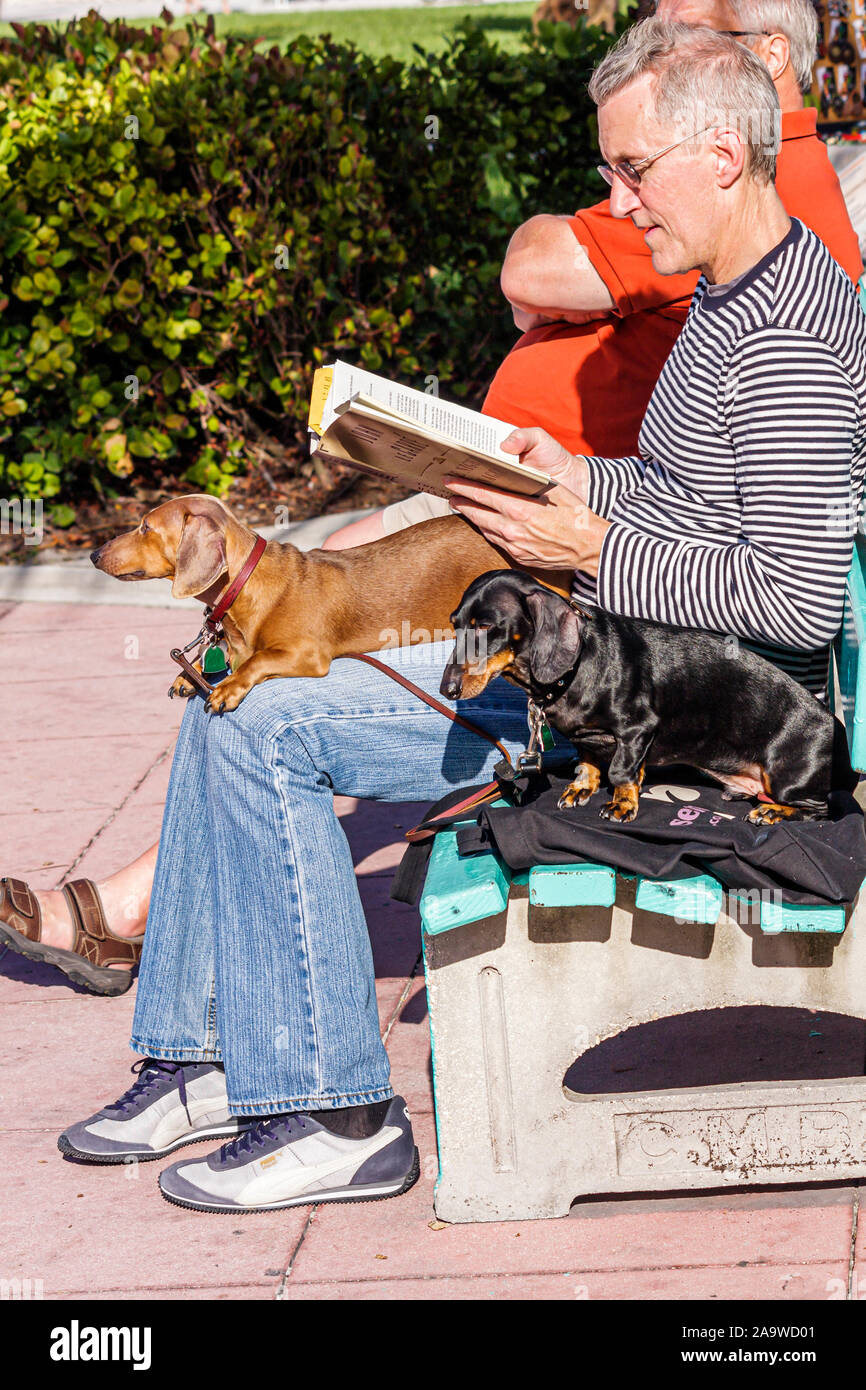 Miami Beach Florida,Lummus Park,adult adults man men male,dog dogs ...