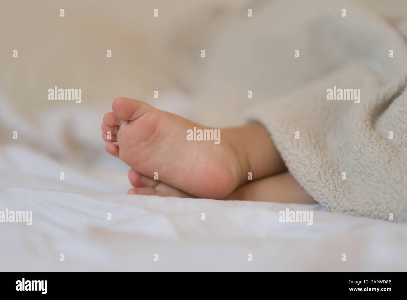 Little baby legs on bed covered with the blanket. Happy Family concept ...