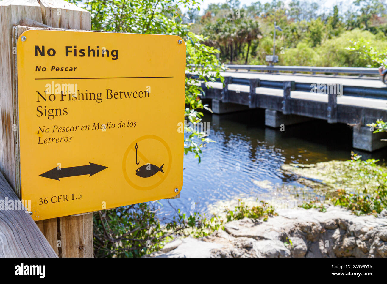 Florida The Everglades,Big Cypress National Preserve,US highway Route ...