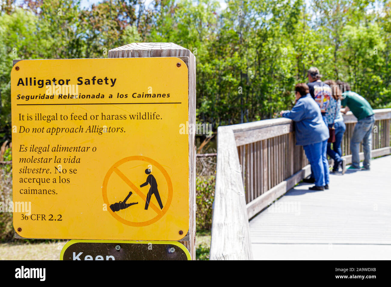 Florida The Everglades,Big Cypress National Preserve,US highway Route ...
