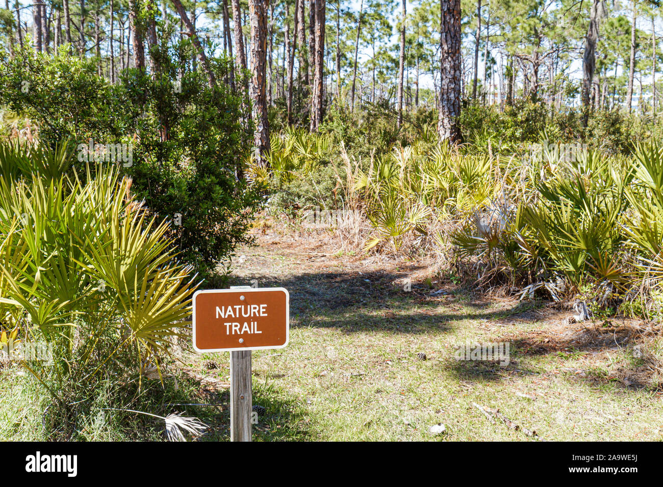 Florida Charlotte County,Placida,Don Pedro Island State Park,nature ...