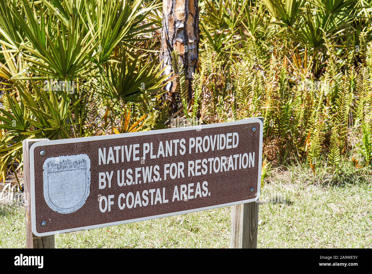 Florida Charlotte County,Placida,Don Pedro Island State Park,native ...