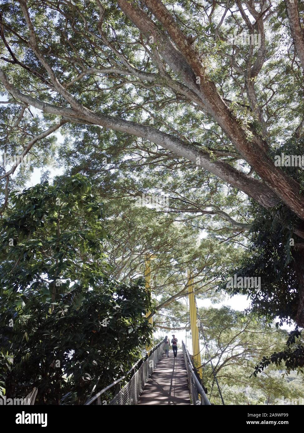 Tamparuli Bridge In Sabah Malaysia Stock Photo - Alamy