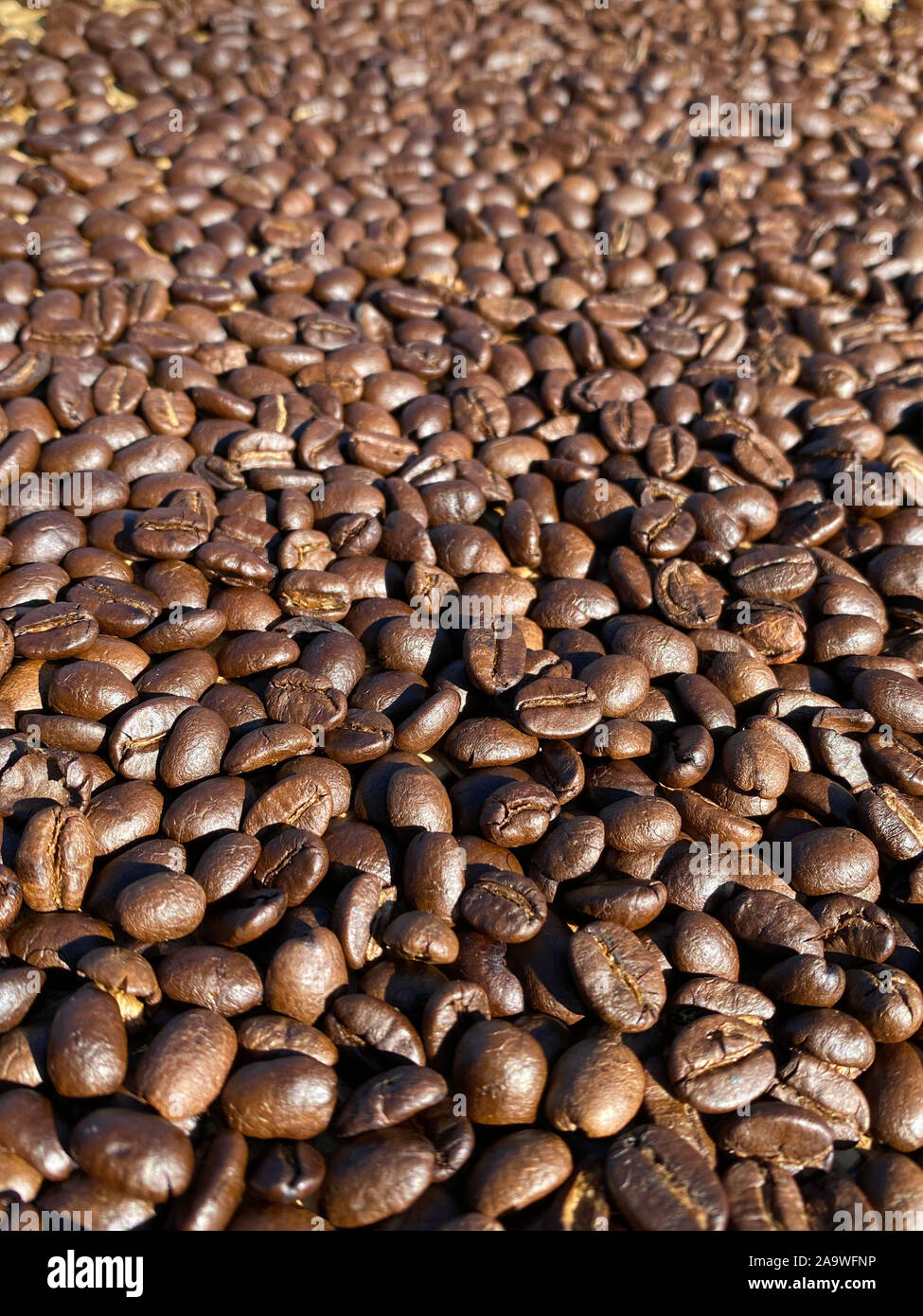 Roasted Coffee Beans background texture. Arabic roasting coffee ...