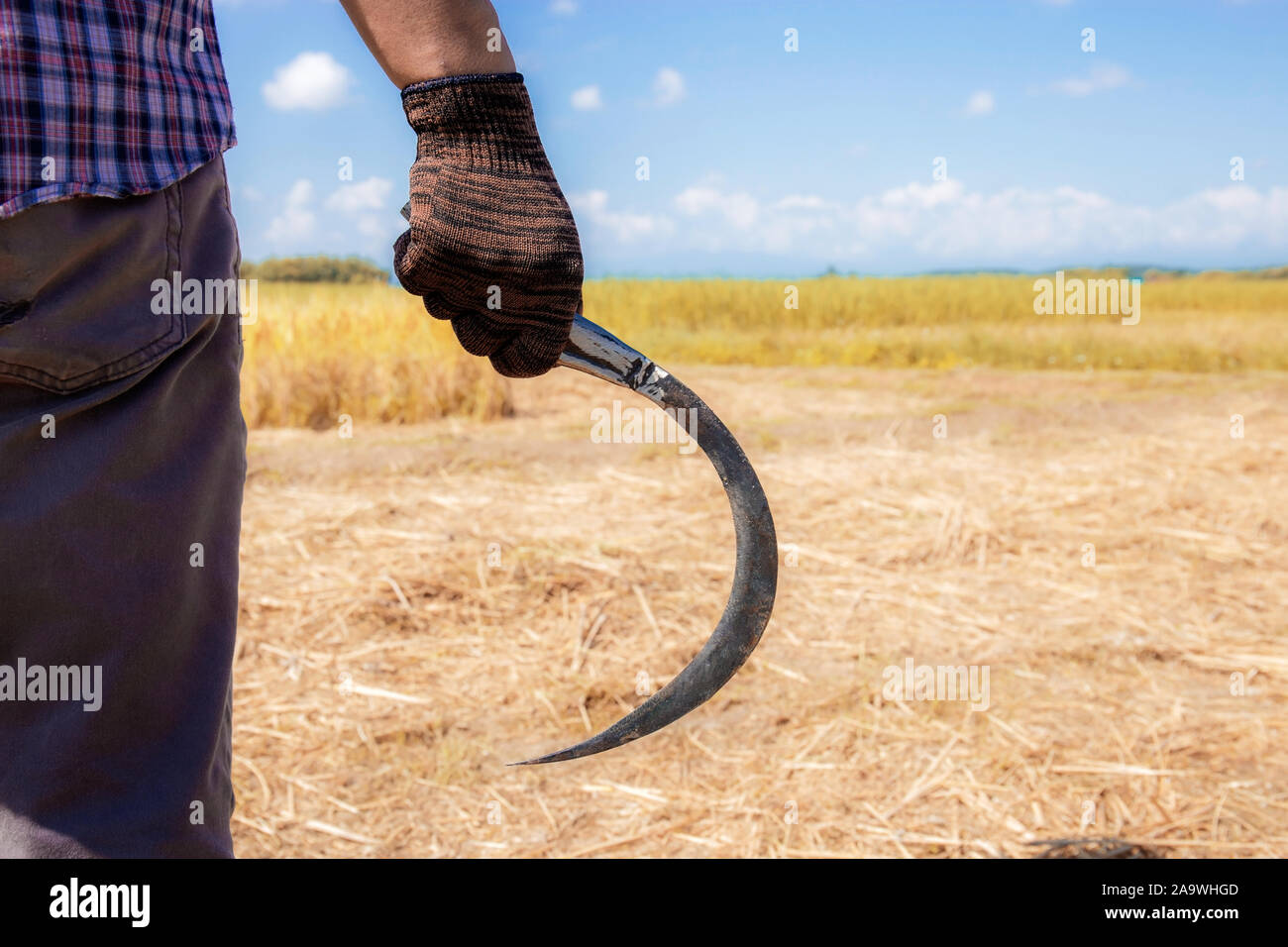 Hand holding a sickle hi-res stock photography and images - Alamy