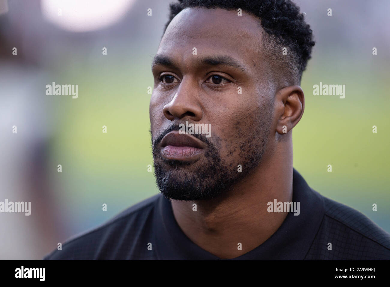 Bears of legend hi-res stock photography and images - Alamy