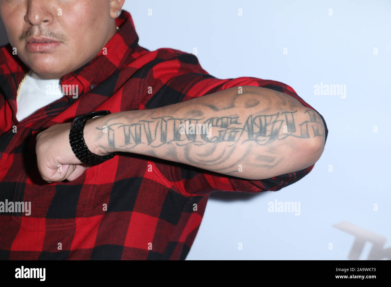 Los Angeles, California, USA. 14th November, 2019. Music atist ...