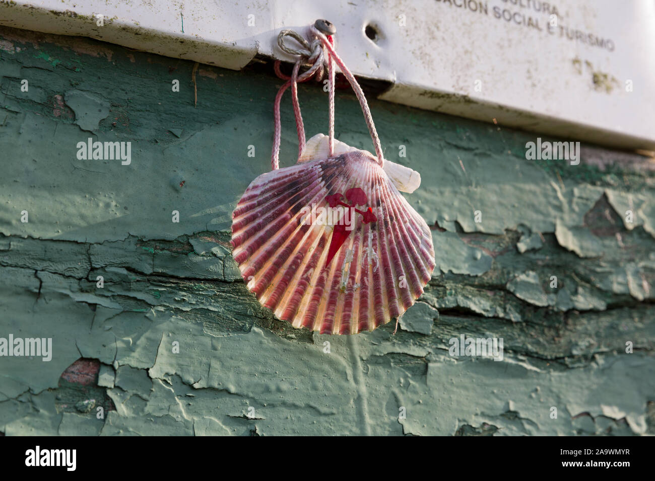 A scallop shell adorned with the Cross of Saint James hangs at the ...