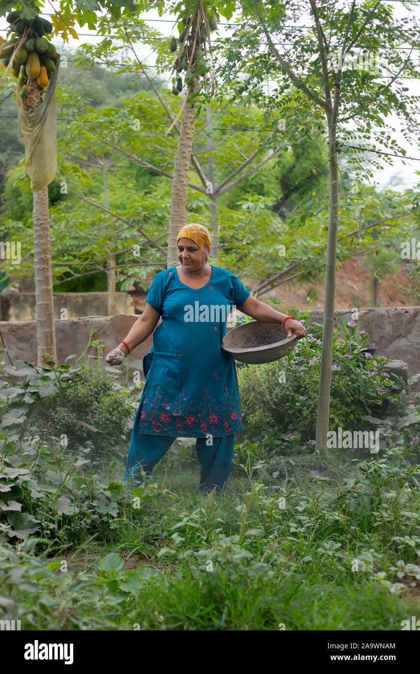 woman sprinkling fertilizer on her plants Stock Photo - Alamy