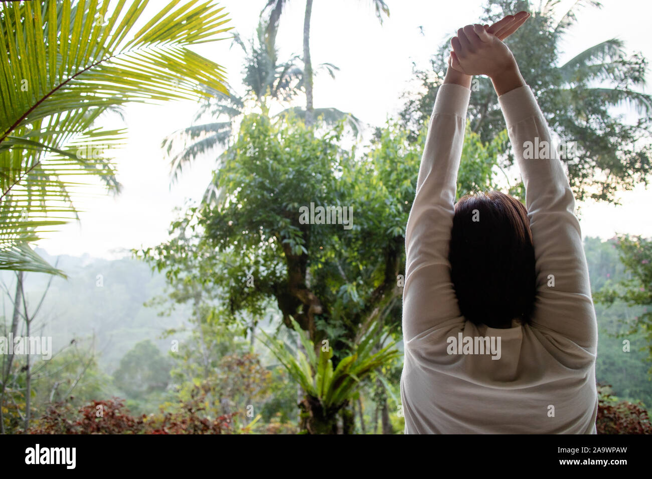 A young woman doing morning stretches in front of palm trees Stock ...