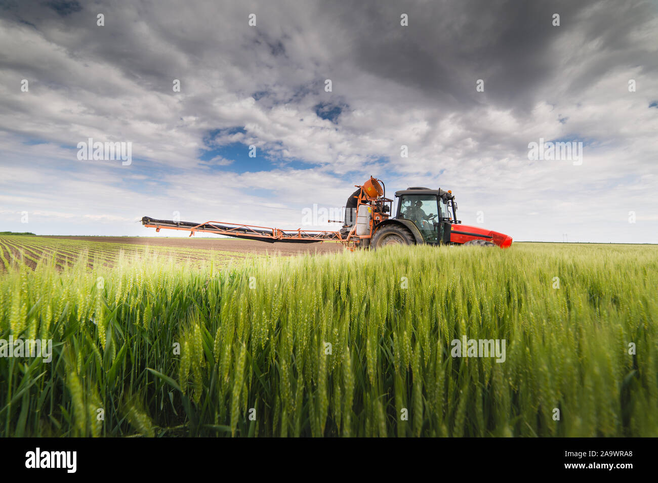 Tractor spraying wheat field with sprayer Stock Photo - Alamy