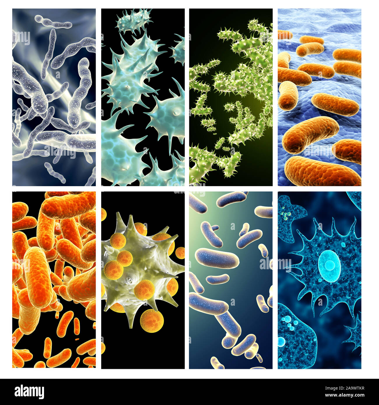 Collection of vertical banners with pathogenic bacterias and viruses ...