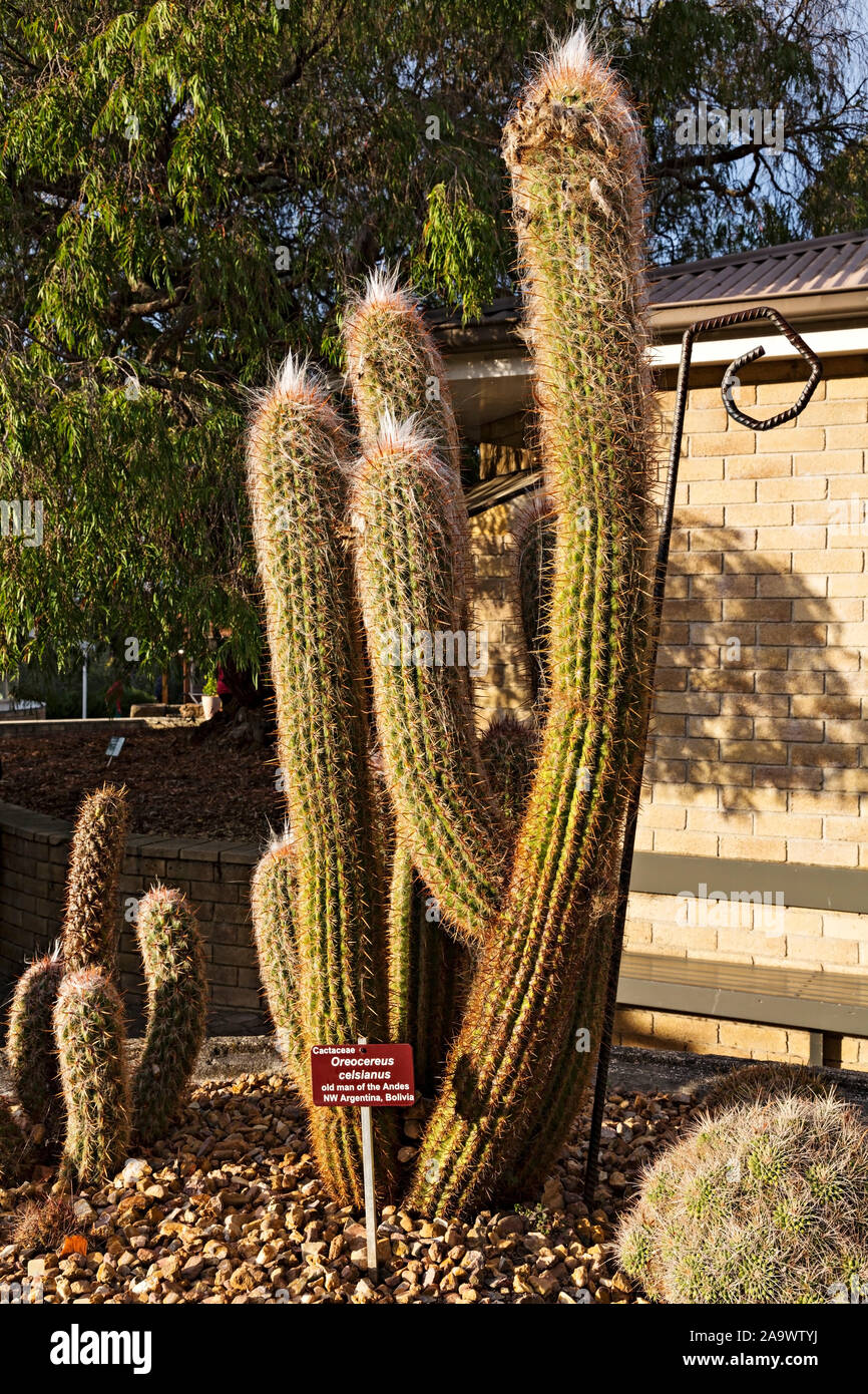 Hobart Australia / The Royal Tasmanian Botanaical Gardens in Hobart ...