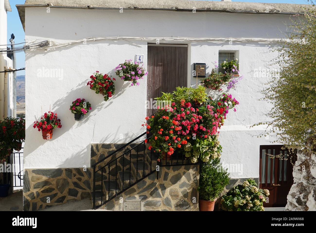 Pink flowering flowers spain hi-res stock photography and images - Alamy