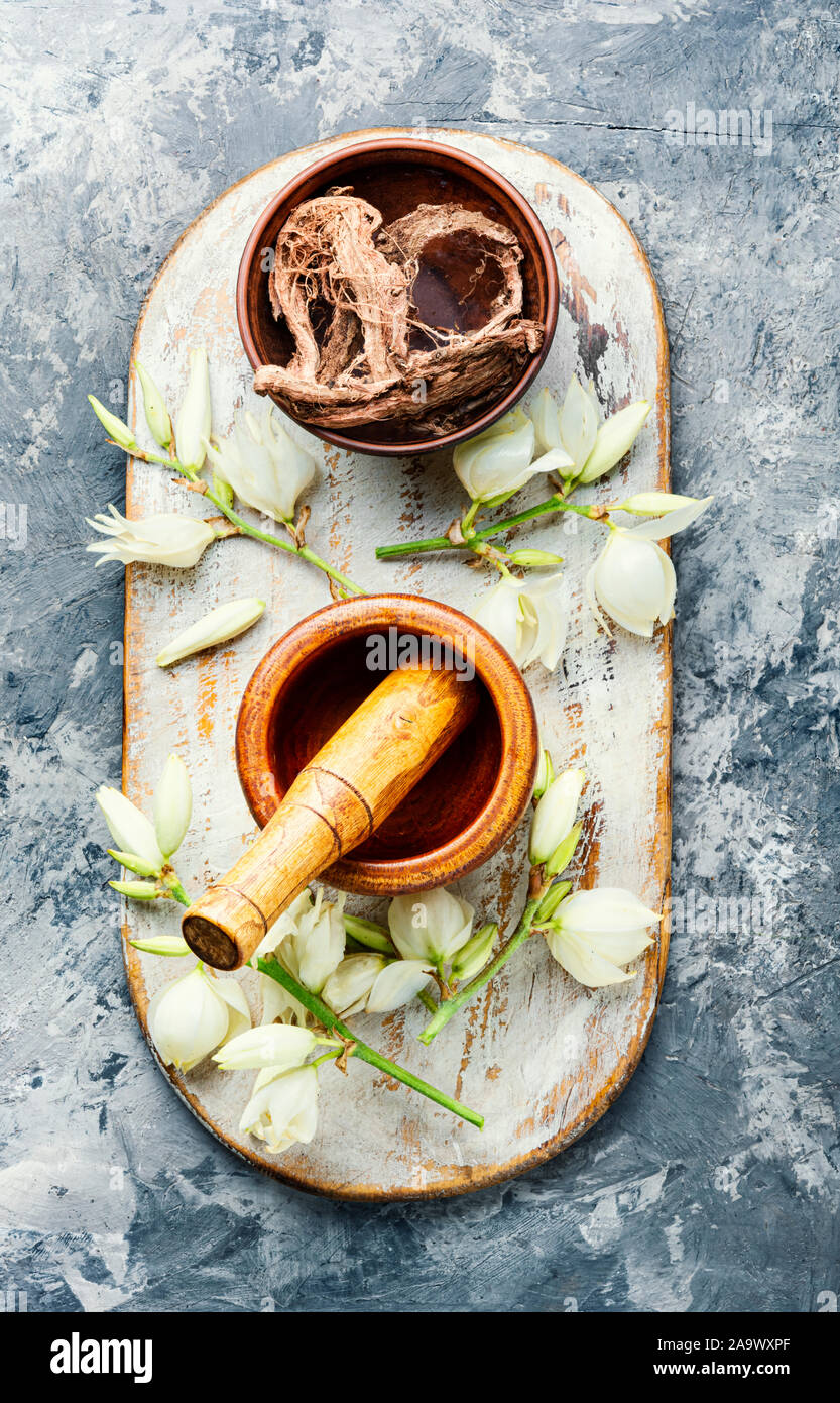 Yucca in herbal medicine.Mortar and bowl of healing herbs.Natural ...