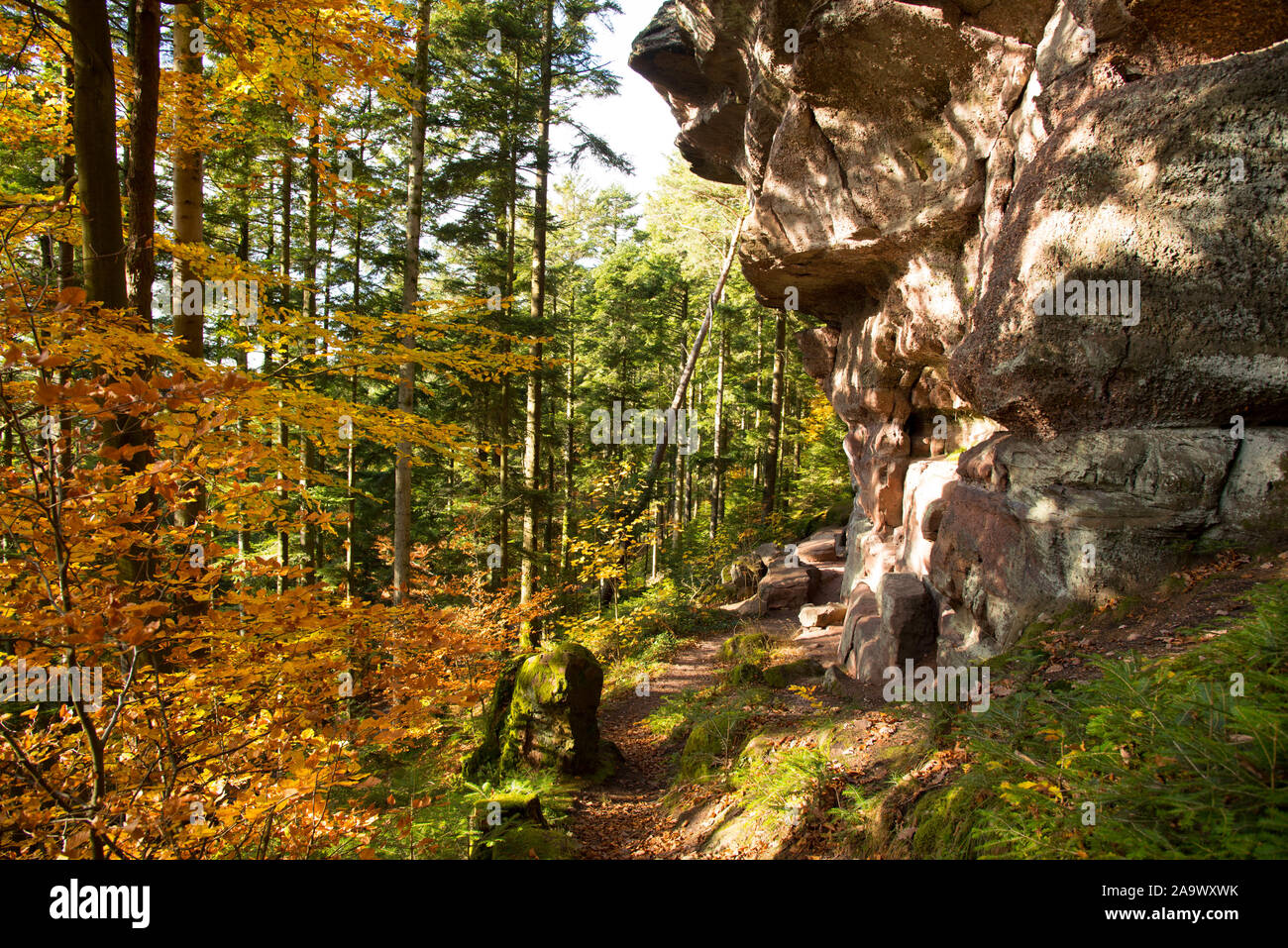 D'abo Stock Photos & D'abo Stock Images - Alamy