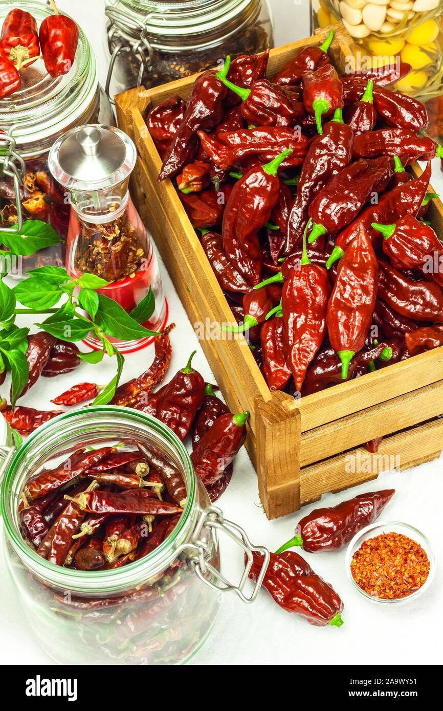 Harvest or chilli. Chili (Bhut Jolokia Chocolate) in a wooden crate ...