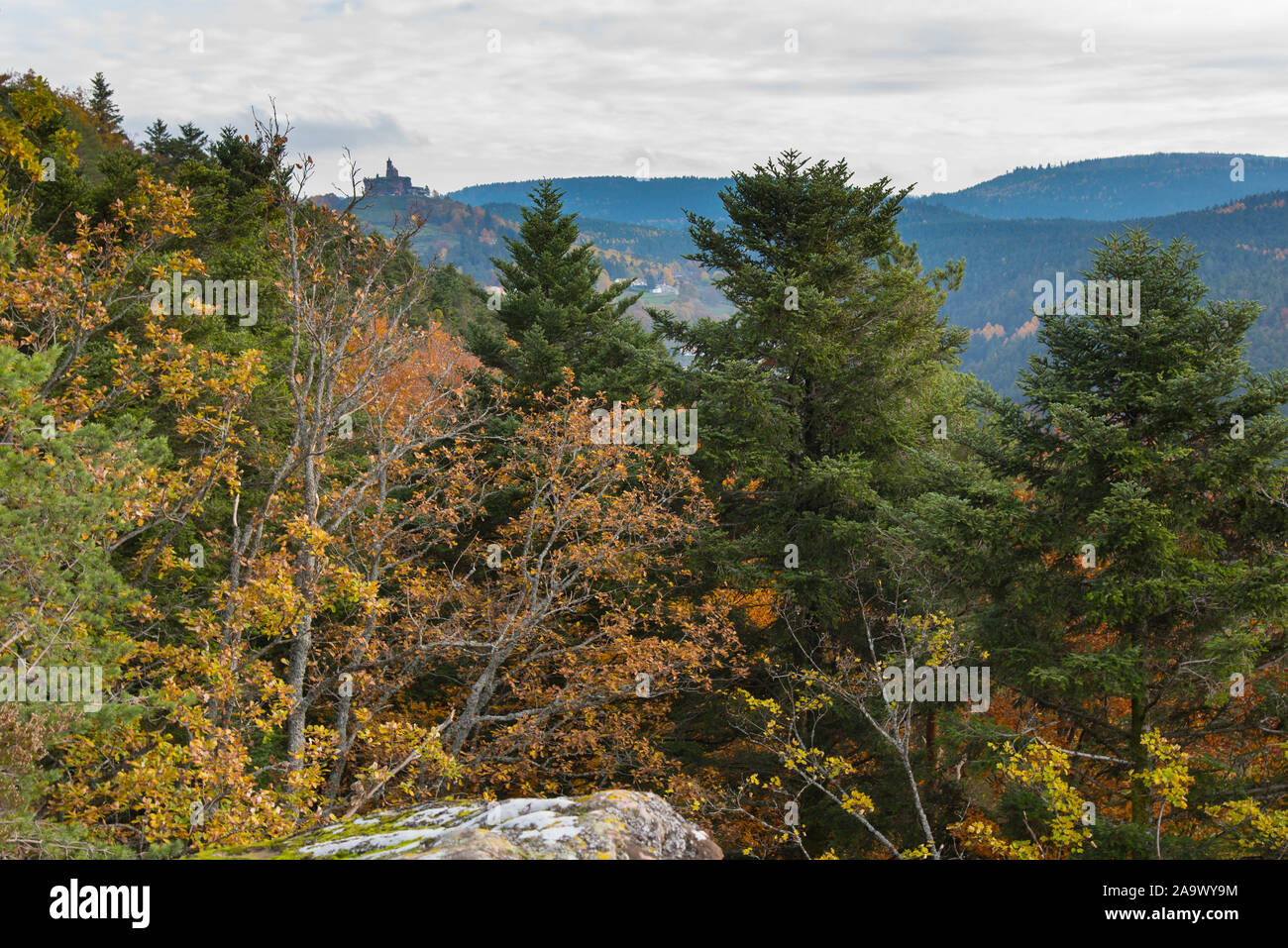 View to the rocher de Dabo in the Vosges mountains in france Stock ...