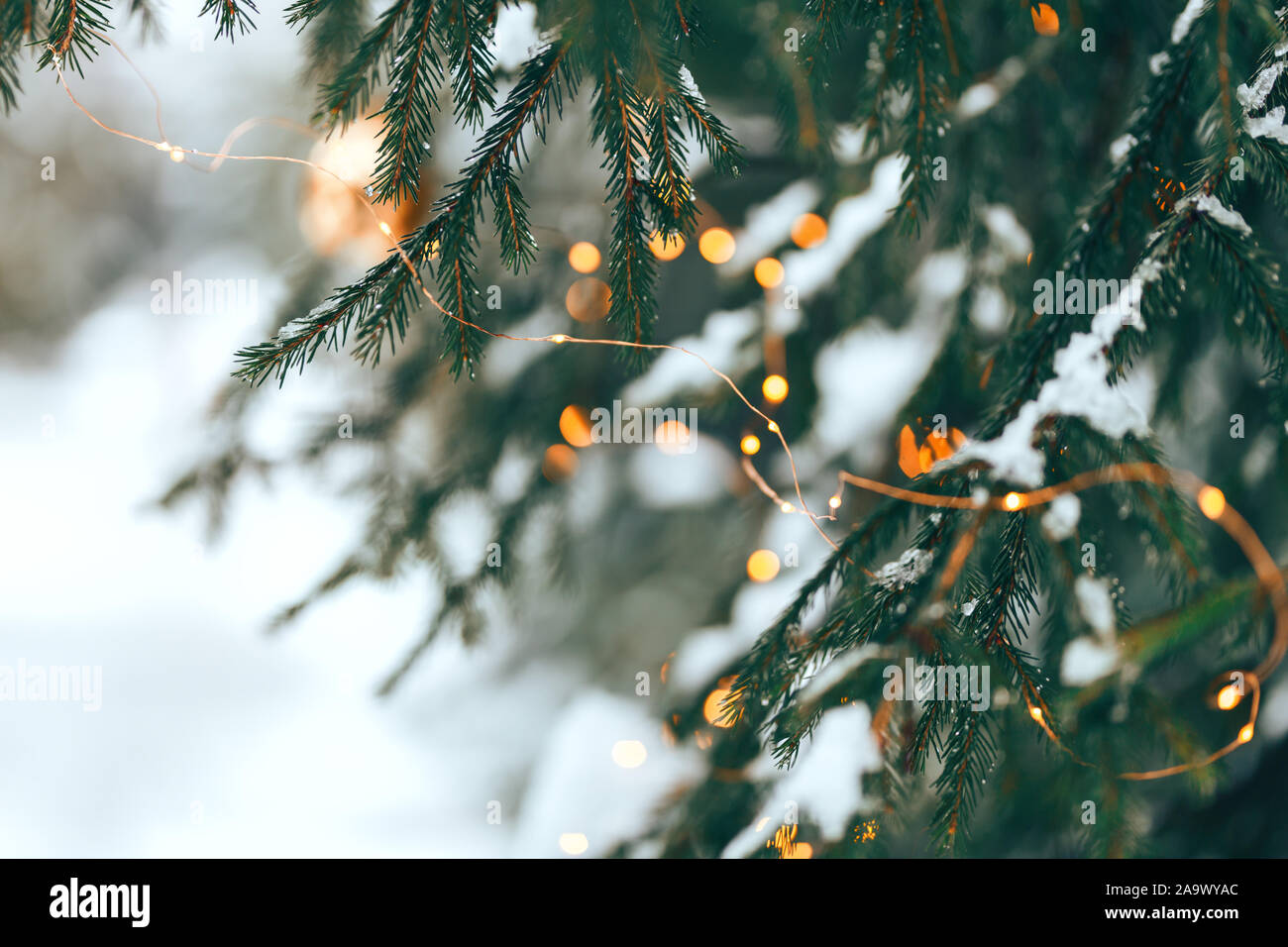 Christmastree background with lights Stock Photo - Alamy
