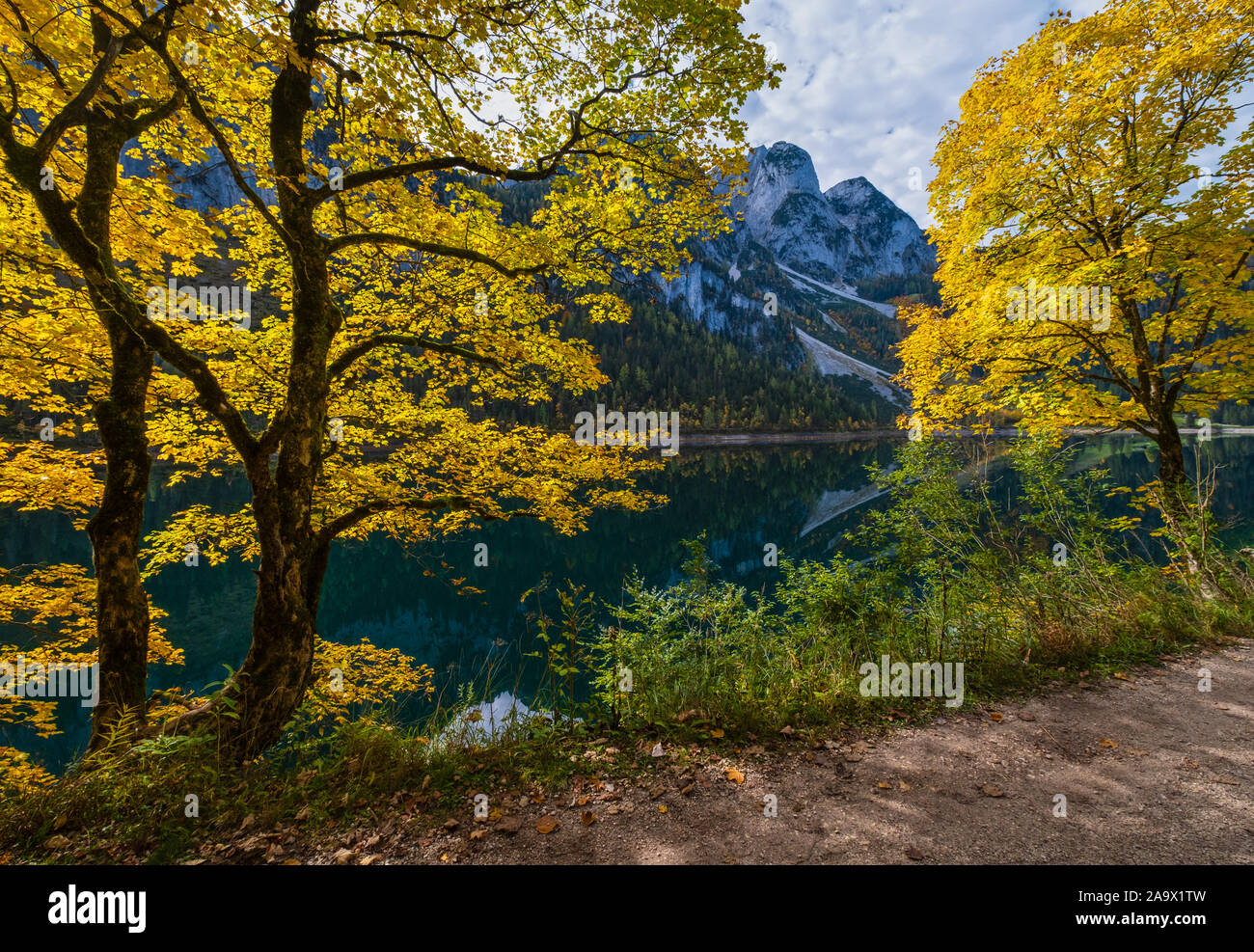 Sunny idyllic colorful autumn alpine view. Big maple tree near peaceful ...