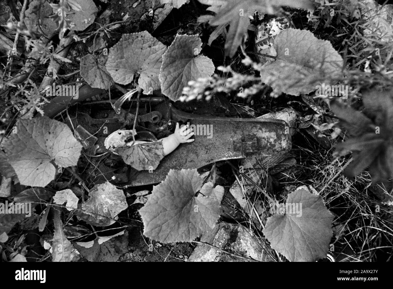 Uk Dolls High Resolution Stock Photography and Images - Alamy