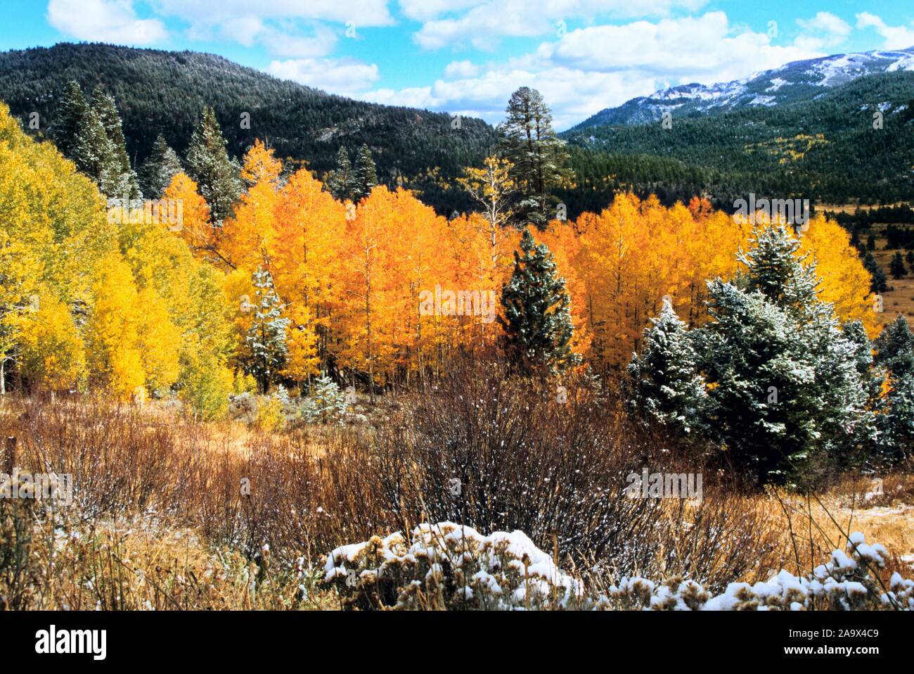 First snowfall in colorful hi-res stock photography and images - Alamy