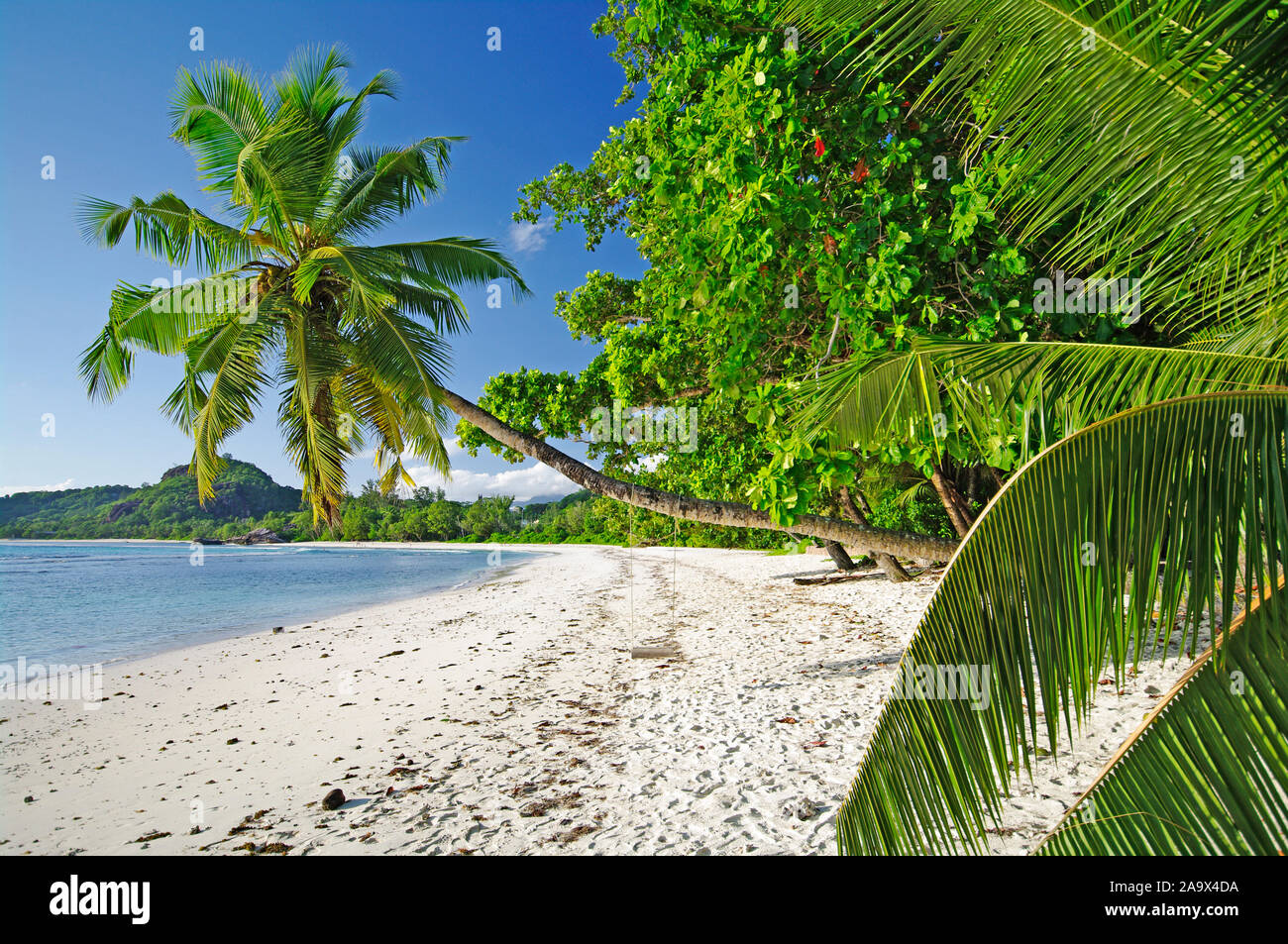Strand und Palmen am Anse Takamaka, Mahe Stock Photo - Alamy