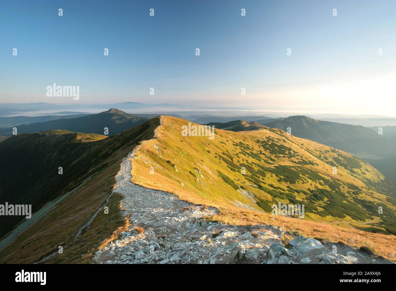 Polish slovak border hi-res stock photography and images - Alamy