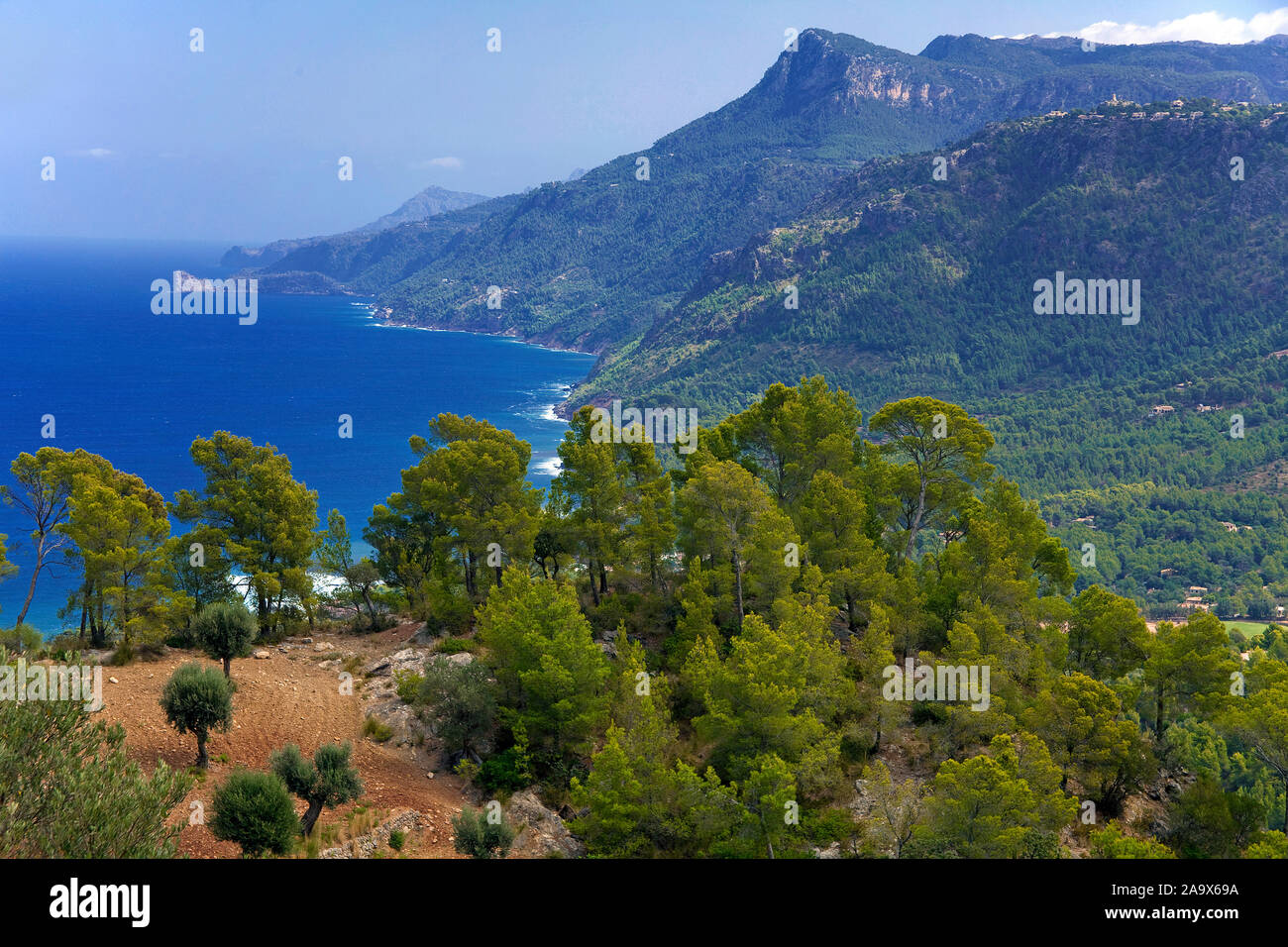 Typical west coast hi-res stock photography and images - Alamy