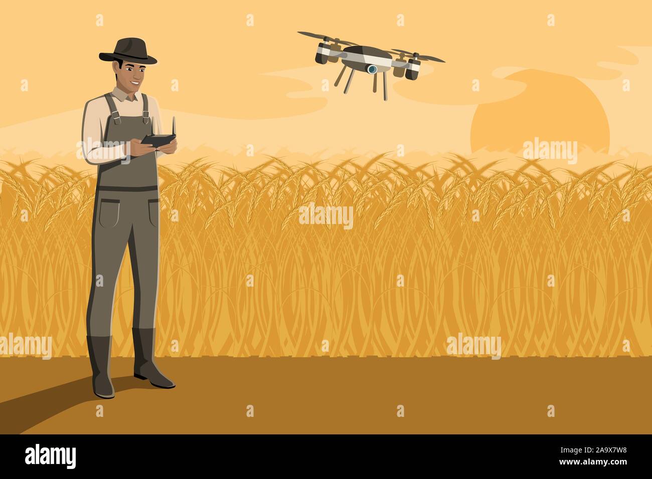 Farmer control drone on a wheat field. Digital transformation in ...
