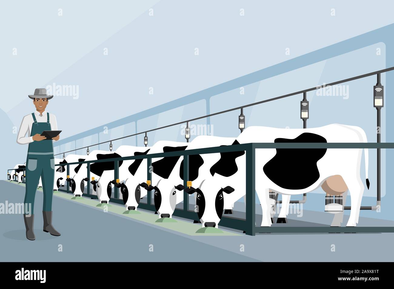 Modern african american farmer with tablet on a dairy farm. Automated milking and smart farming ...