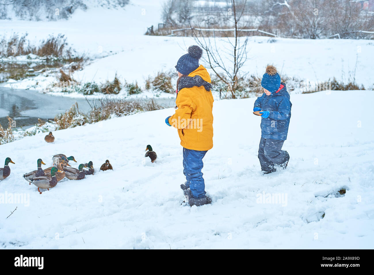 Children feeding duck hi-res stock photography and images - Alamy