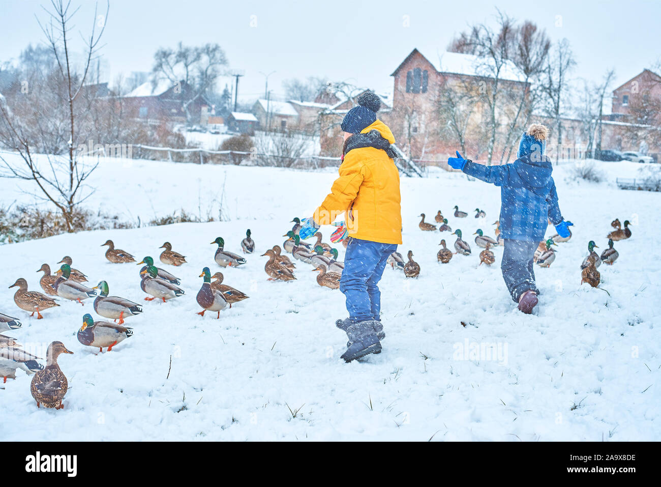 Child running after birds hi-res stock photography and images - Alamy