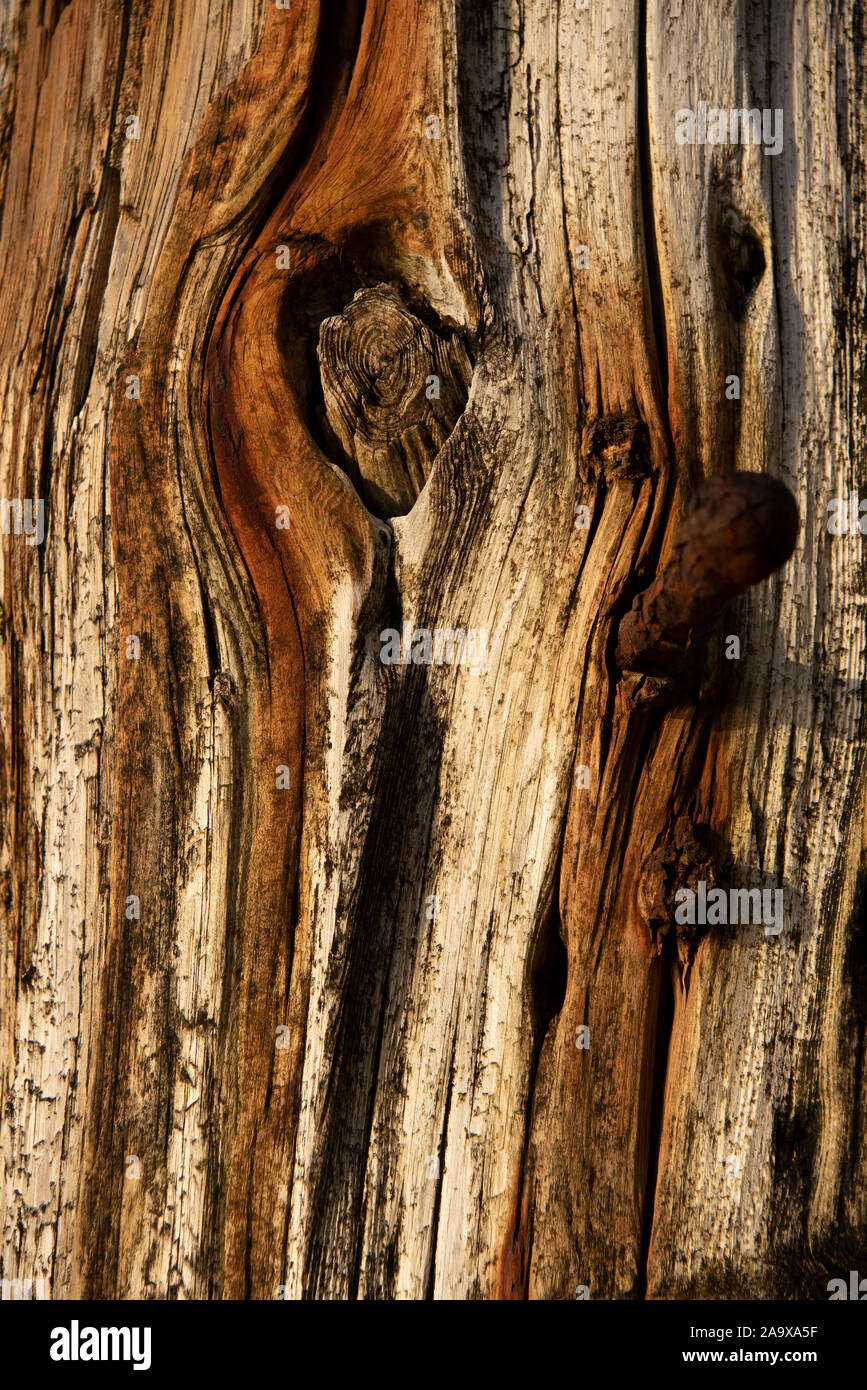 Upright structure hi-res stock photography and images - Alamy