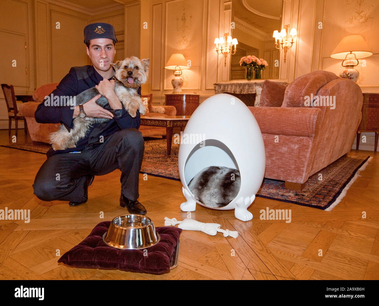 Paris dog hi-res stock photography and images - Alamy