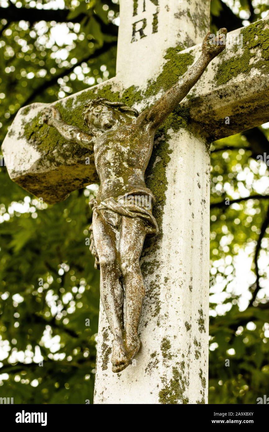Stone crucifix with moss and tree Stock Photo - Alamy