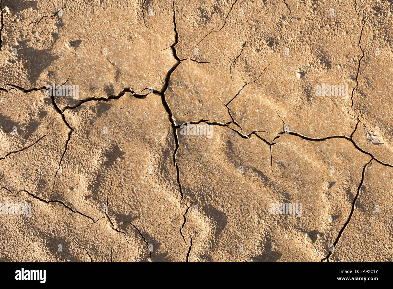Infertile soil hi-res stock photography and images - Alamy