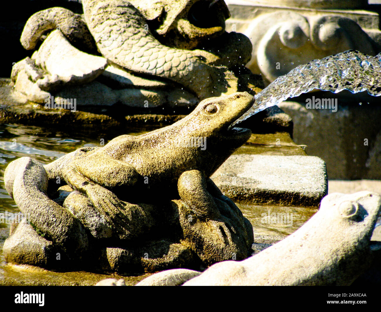 Frog shape fountain hi-res stock photography and images - Alamy