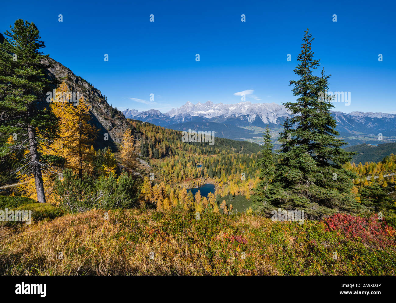 Sunny autumn alpine view. Peaceful mountain forest lake with clear ...