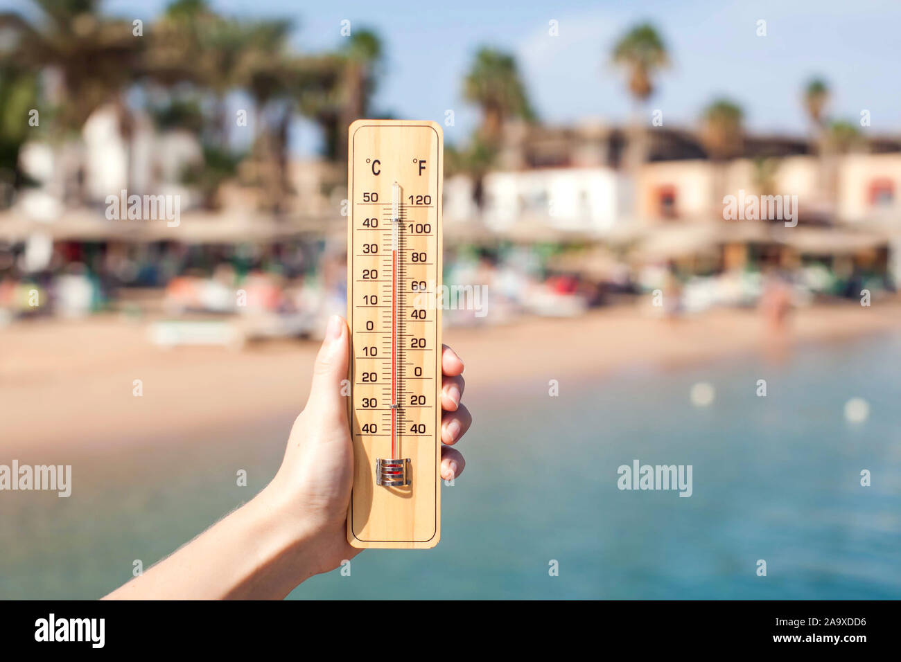 Hand of woman holds thermometer at beach background. Summer, climate ...