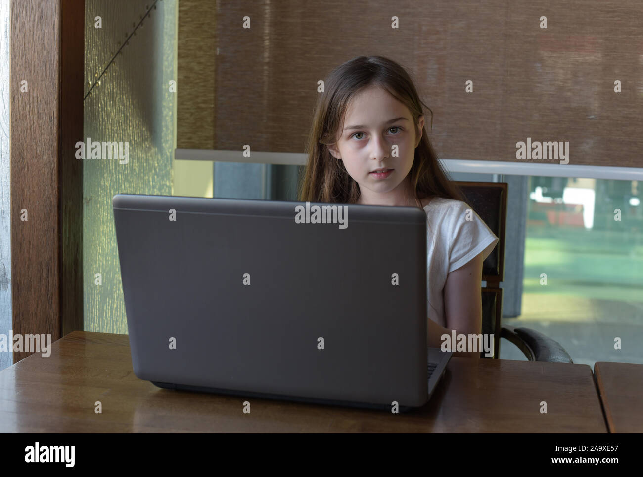 Student little school girl homework on laptop computer silver ...