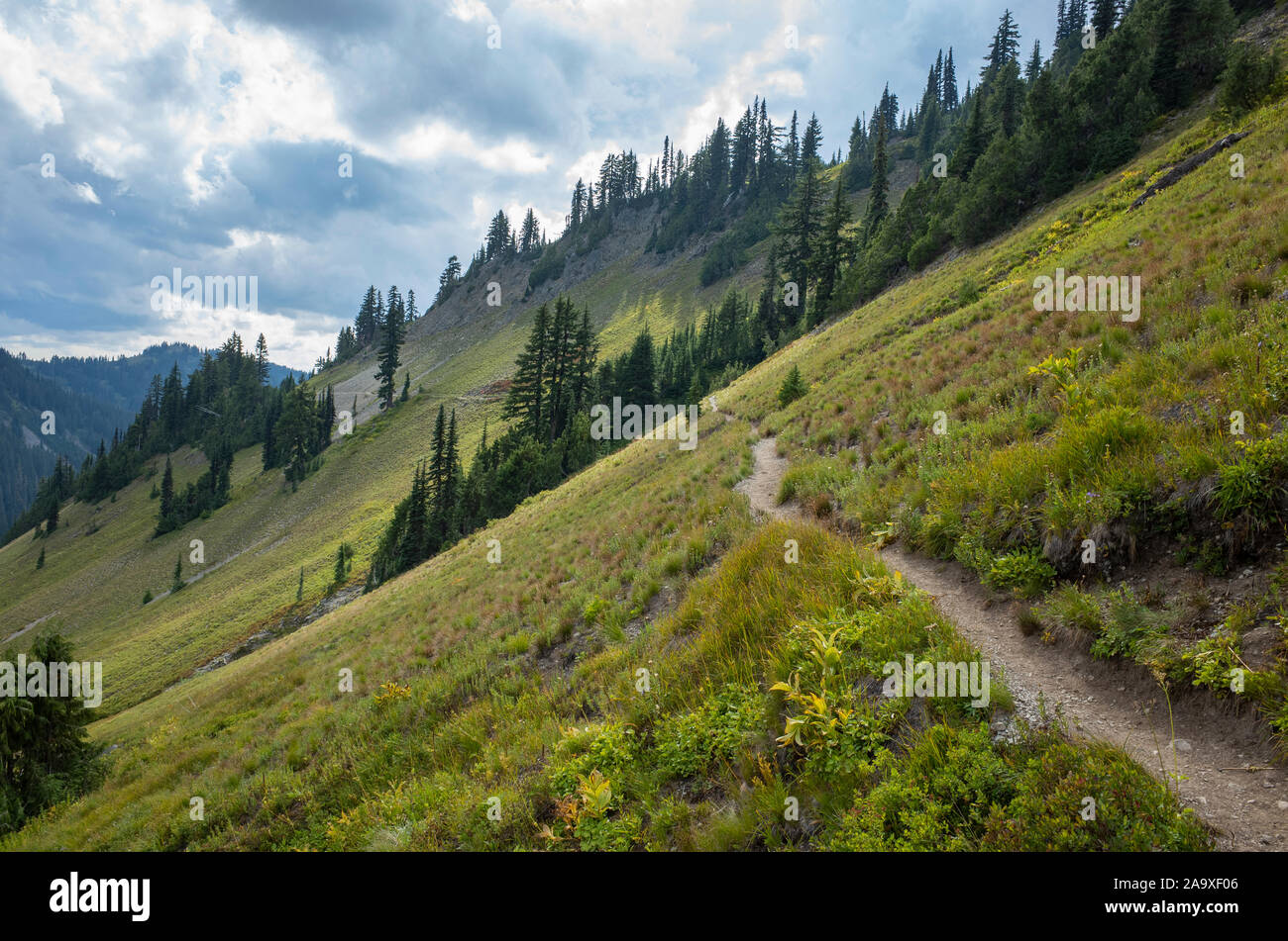 Goat rocks wilderness hi-res stock photography and images - Alamy