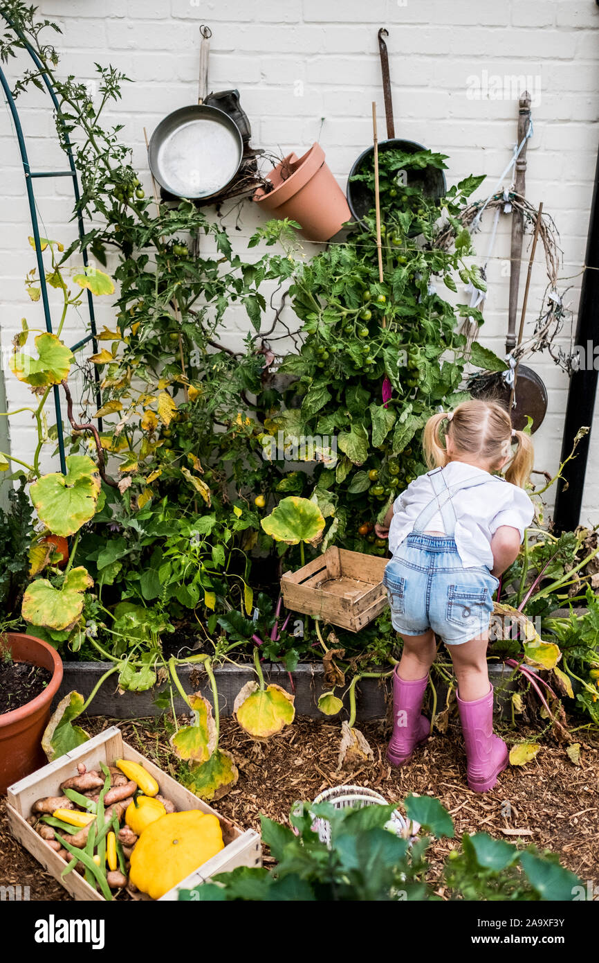 Rear view of blond girl standing in a garden, picking fresh vegetables ...