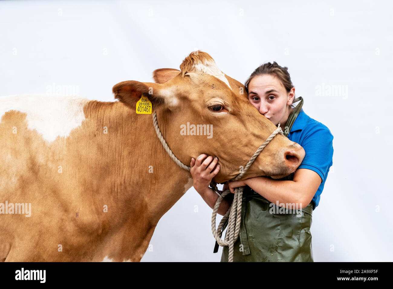 Hugging A Cow