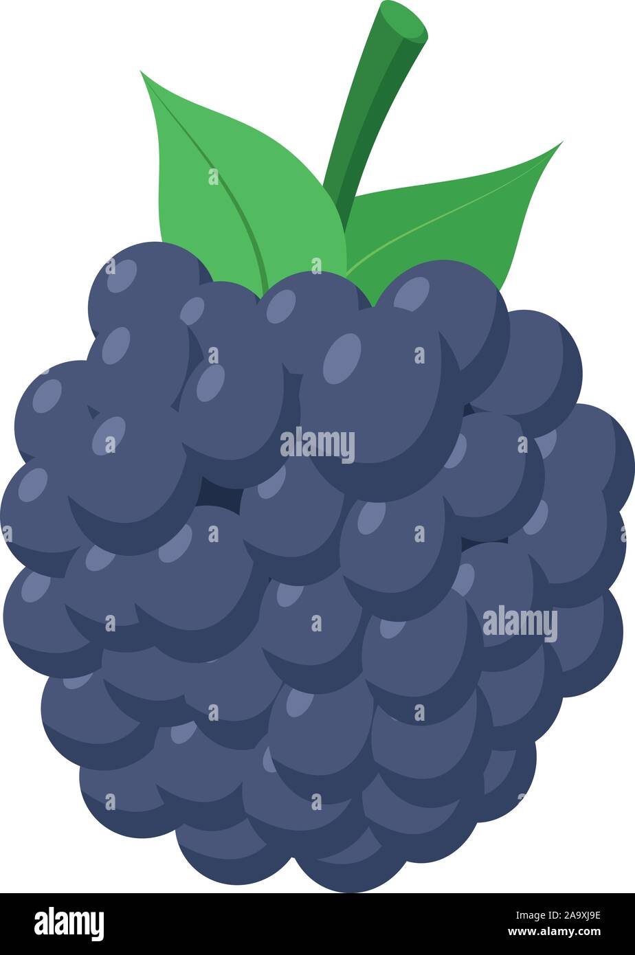 Vector illustration of a funny blackberry in cartoon style Stock Vector ...