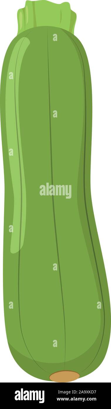 Vector illustration of a funny zucchini in cartoon style Stock Vector ...